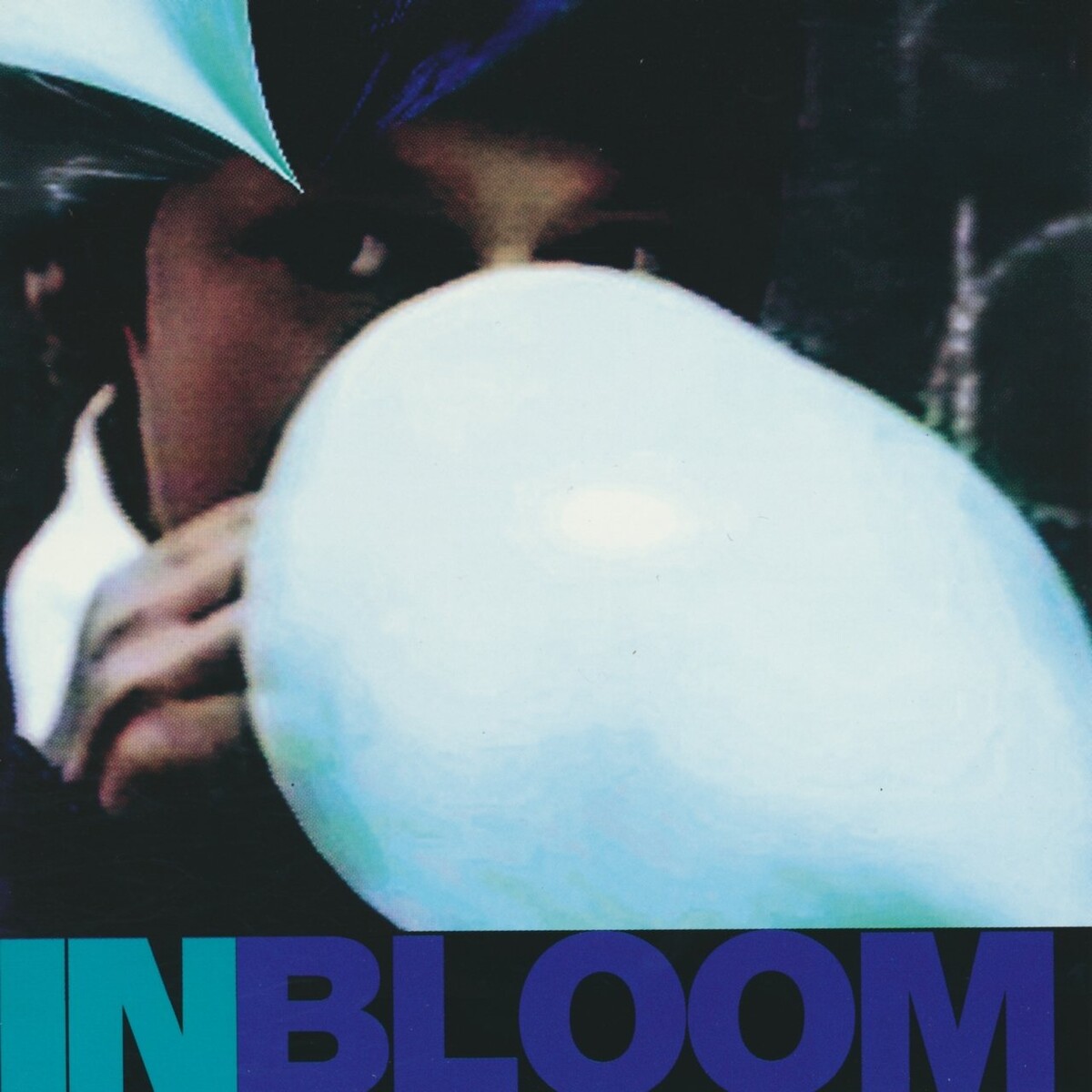 In Bloom Albums: songs, discography, biography, and listening guide ...