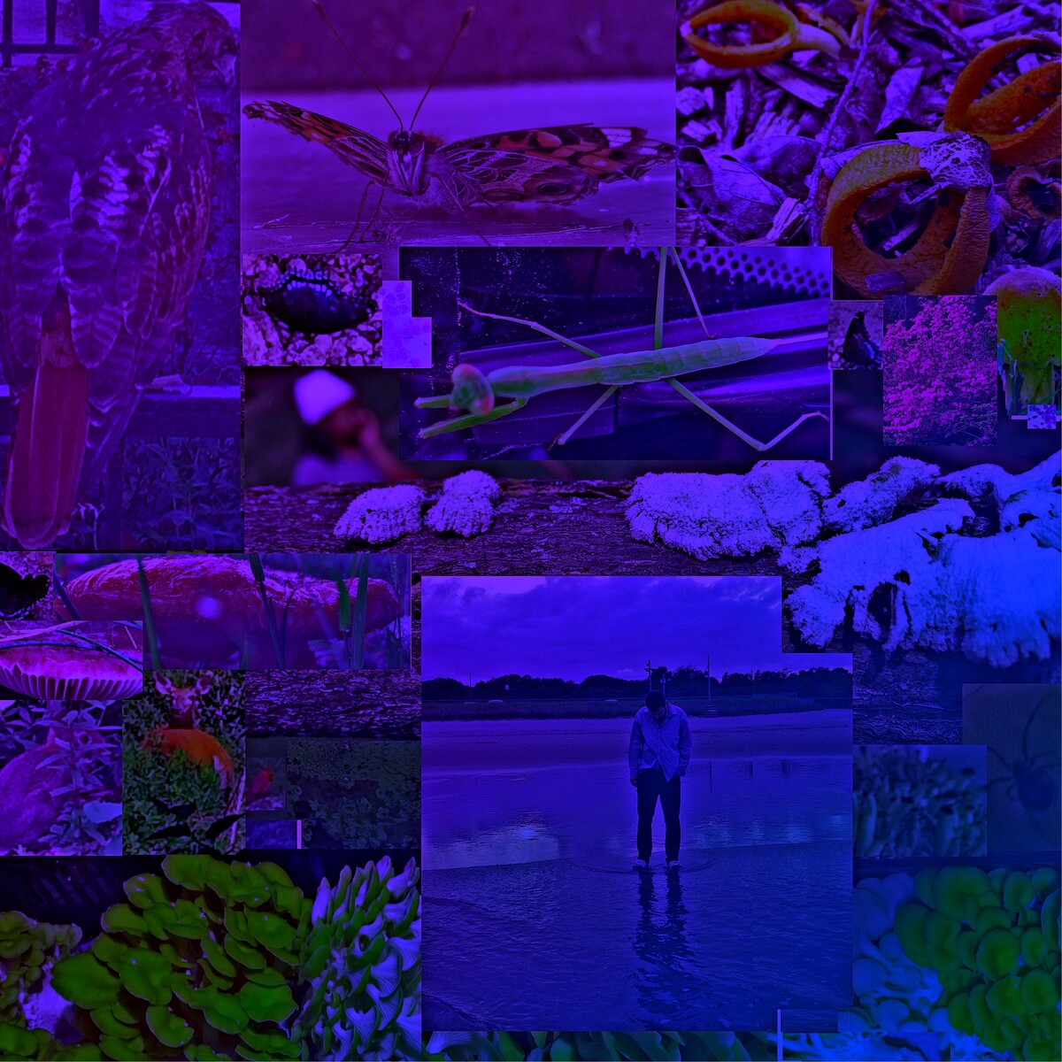 John Lucci Albums: songs, discography, biography, and listening guide ...