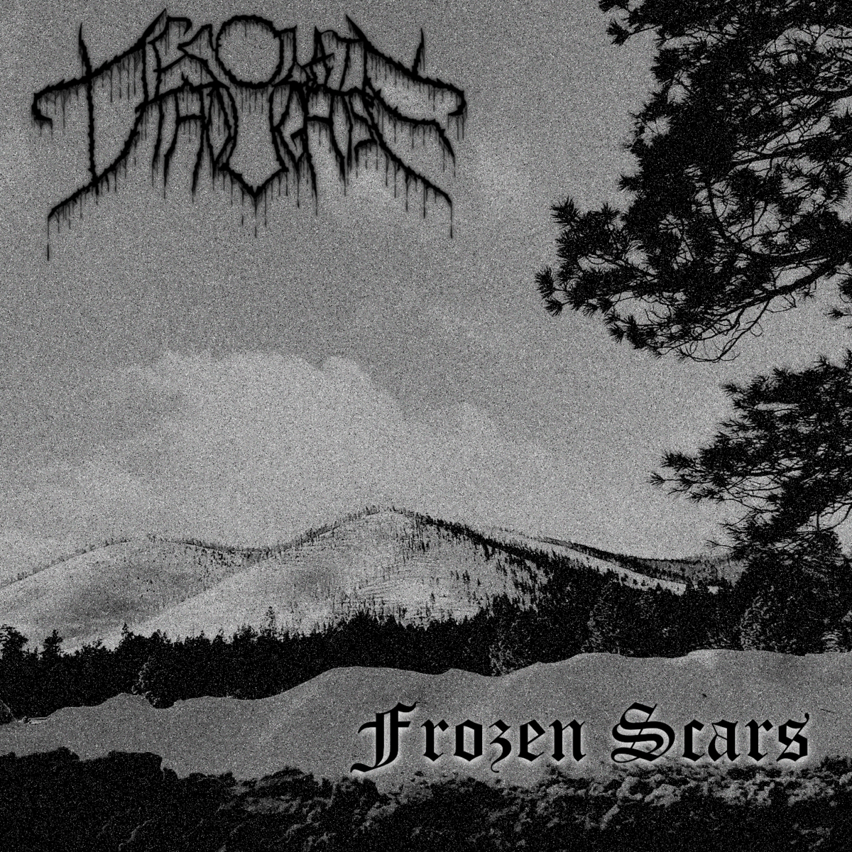 Frozen Scars by Desolate Thoughts (Single, Atmospheric Black Metal ...