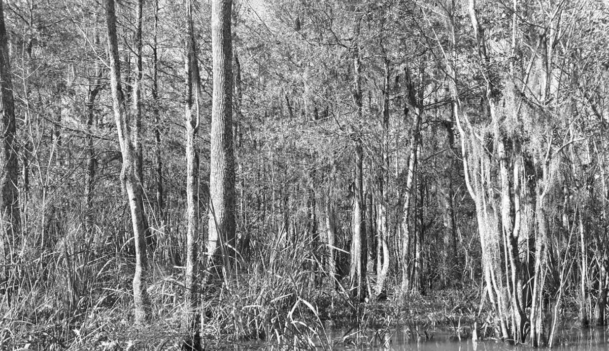 The Nine Rings by Marketh (Single): Reviews, Ratings, Credits, Song ...