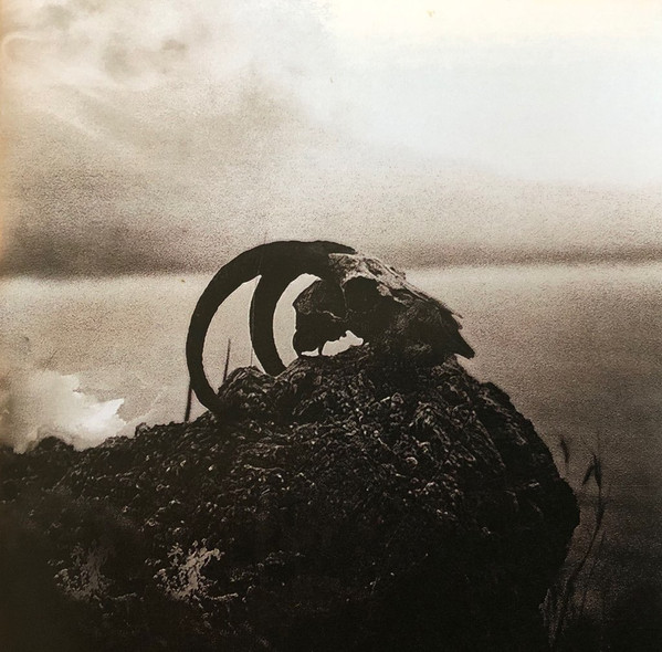 Rise of Caligula Albums: songs, discography, biography, and listening ...