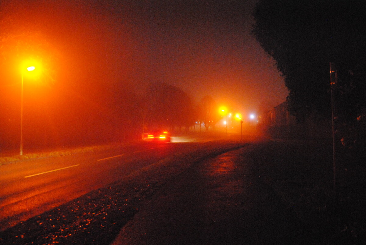 Buds Picked From All Gardens by Matthew Webb (Album): Reviews, Ratings ...