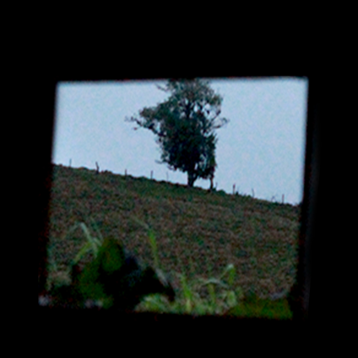 Barco Ebrio Albums: songs, discography, biography, and listening guide ...