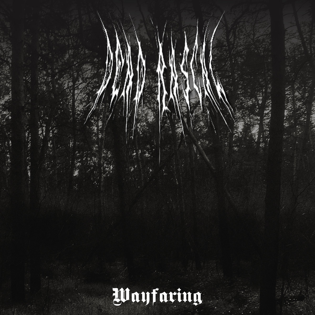 Wayfaring by Dead Rascal (Single): Reviews, Ratings, Credits, Song list ...