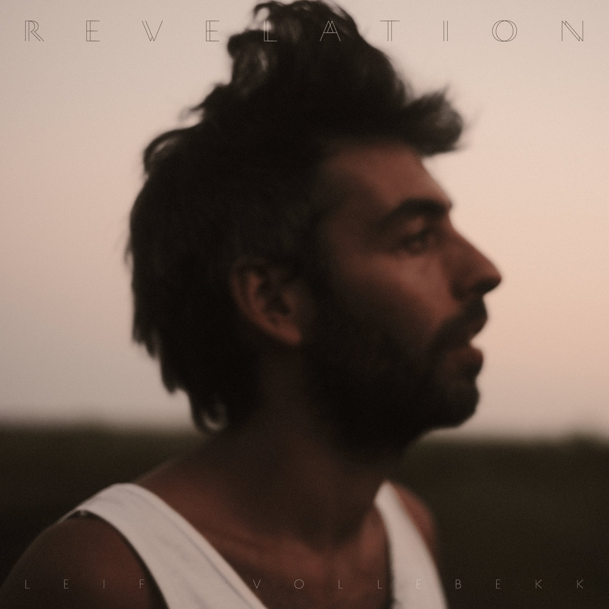 Southern Star by Leif Vollebekk (Single, Americana): Reviews, Ratings ...