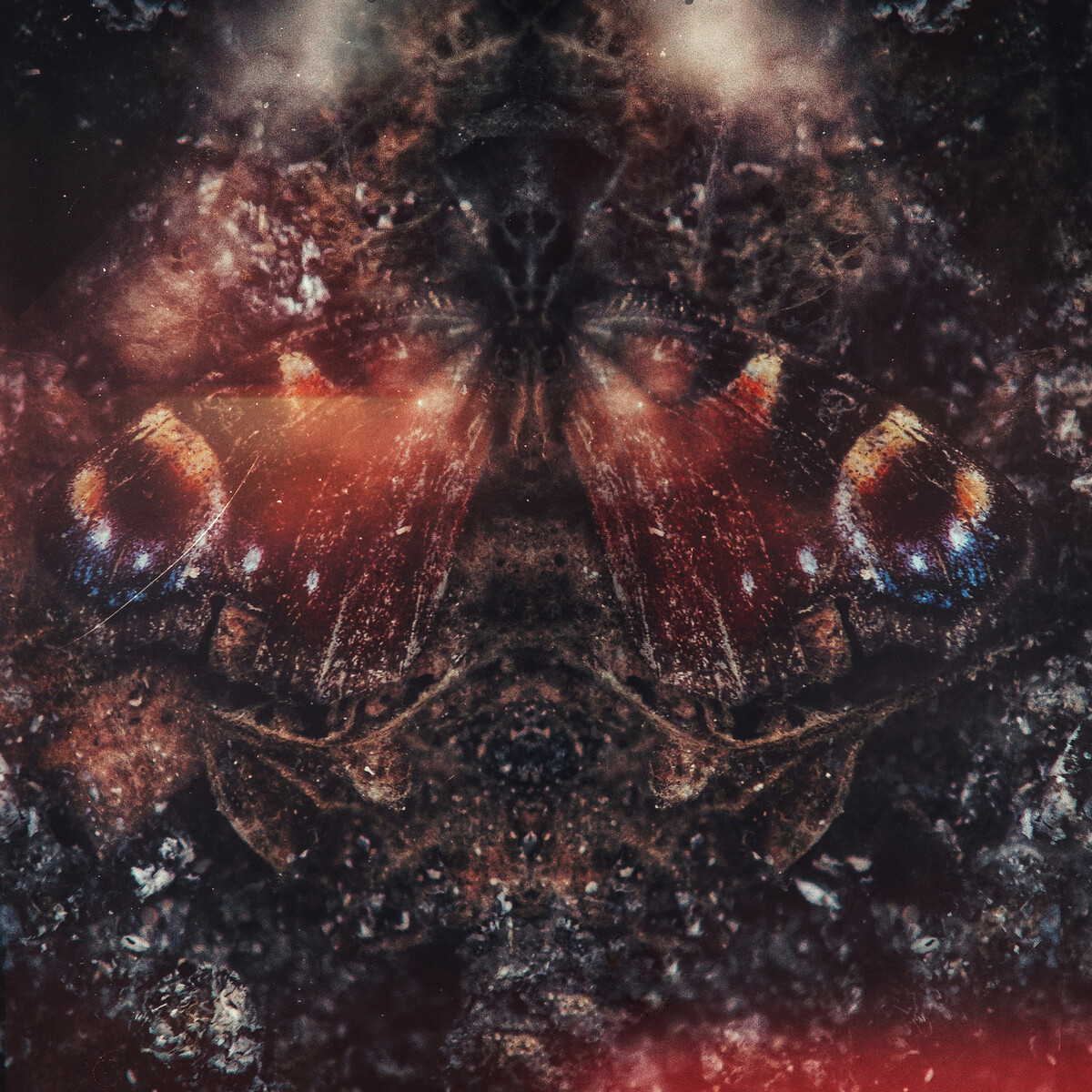 Layers of Rebirth by Vlad Suppish (EP): Reviews, Ratings, Credits, Song ...