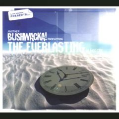 The Everlasting by Bushwacka! (Album): Reviews, Ratings, Credits, Song ...