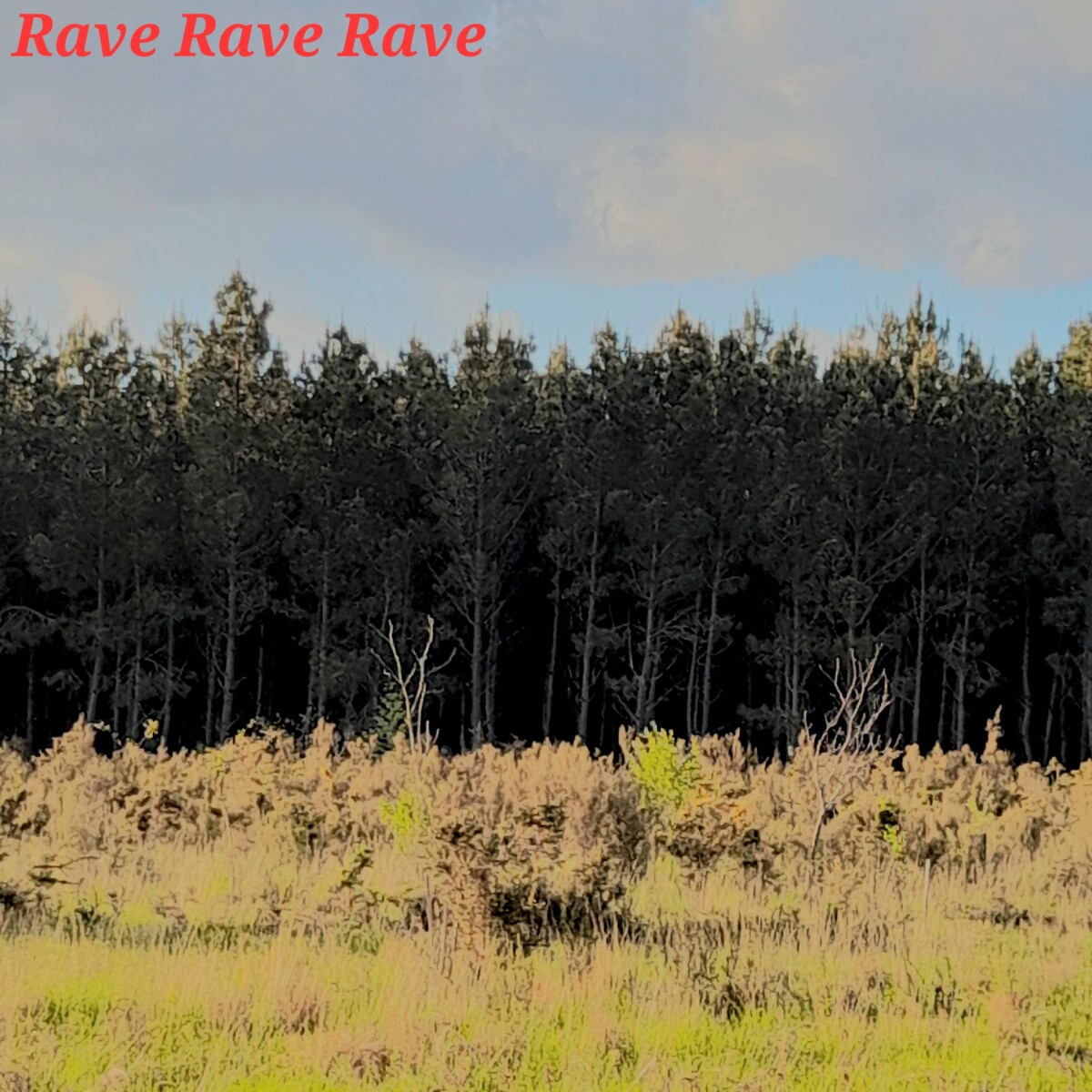 Derrière les Yeux by Rave Rave Rave (Album, Ritual Ambient): Reviews ...