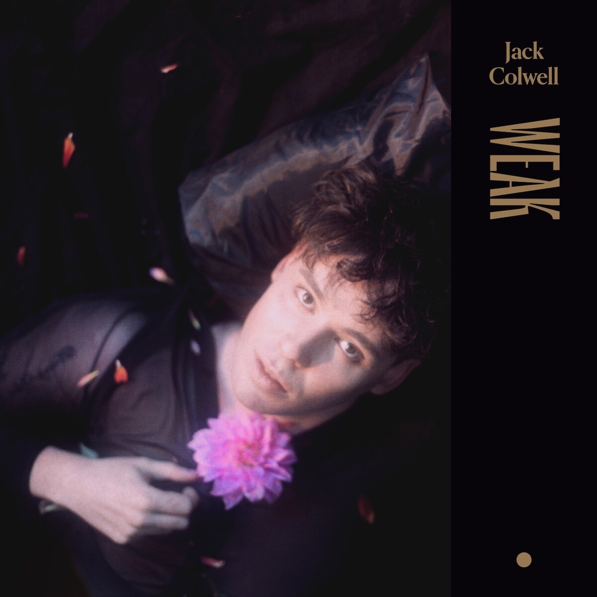 Weak by Jack Colwell & The Owls (Single): Reviews, Ratings, Credits ...