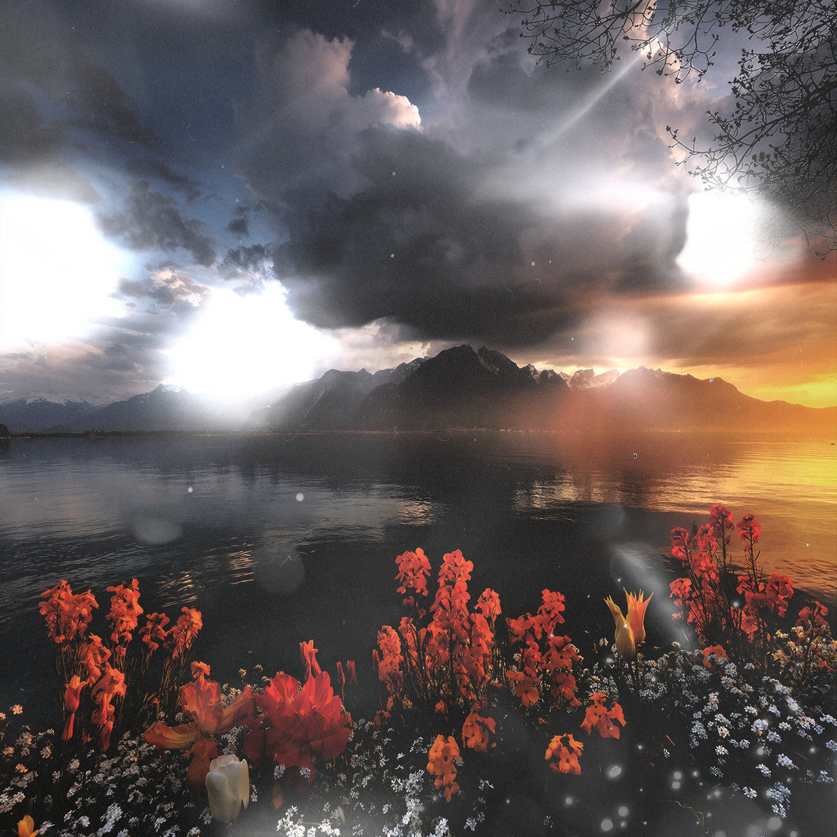 ネイティブロジック by Modest by Default (Album): Reviews, Ratings, Credits, Song ...