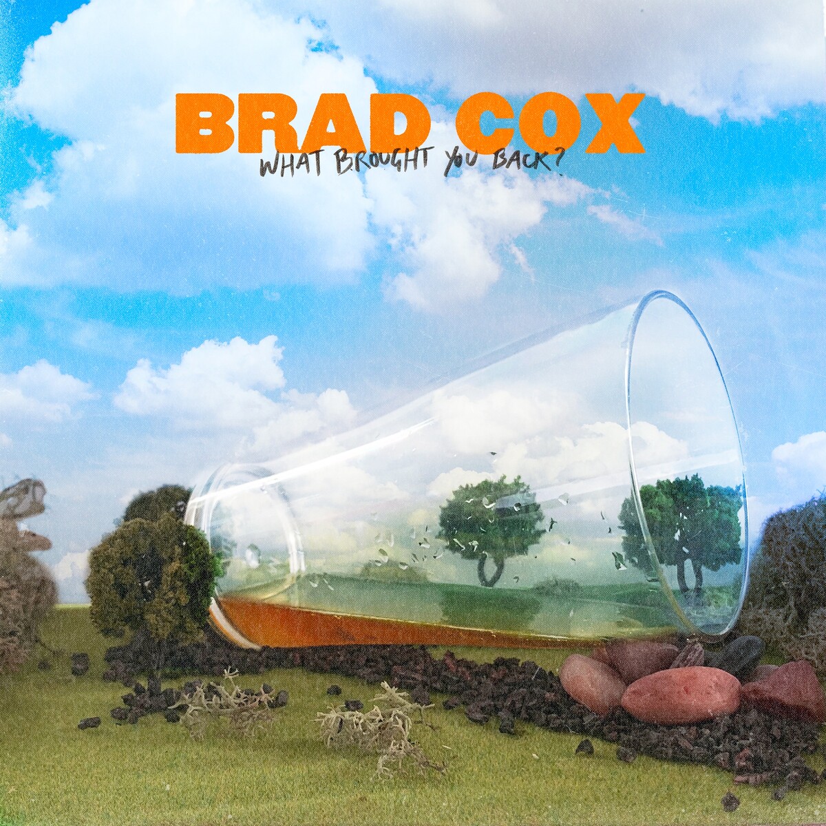 What Brought You Back by Brad Cox (Single): Reviews, Ratings, Credits ...