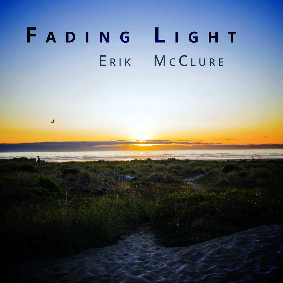 Fading Light by Erik McClure (Album): Reviews, Ratings, Credits, Song list - Rate Your Music