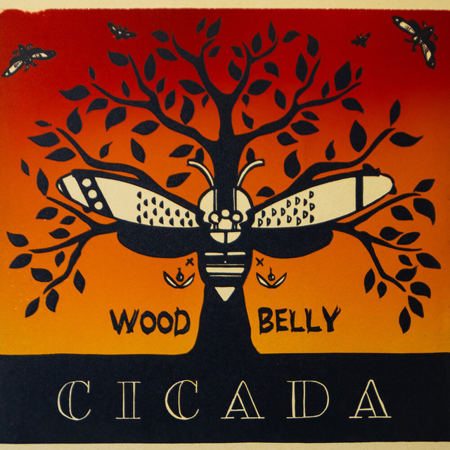 Cicada by Wood Belly (Album, Americana): Reviews, Ratings, Credits ...
