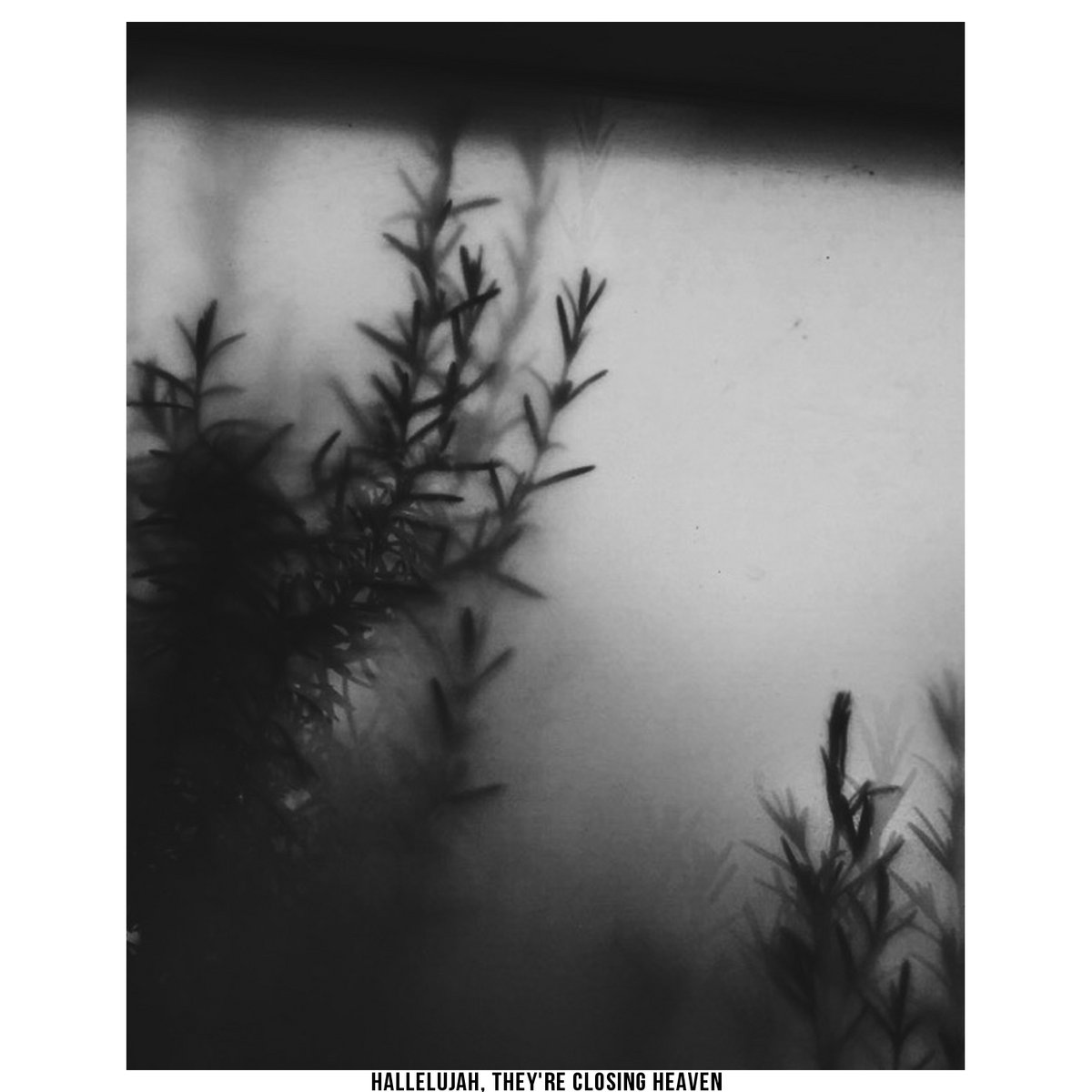 Max Berry Albums: songs, discography, biography, and listening guide ...