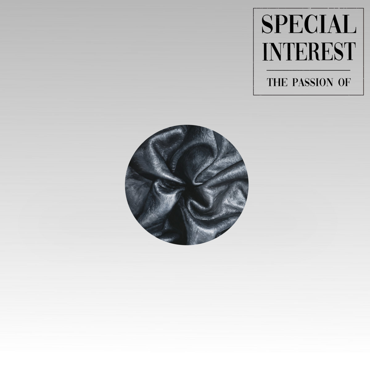 The Passion Of by Special Interest (Album, Synth Punk): Reviews ...