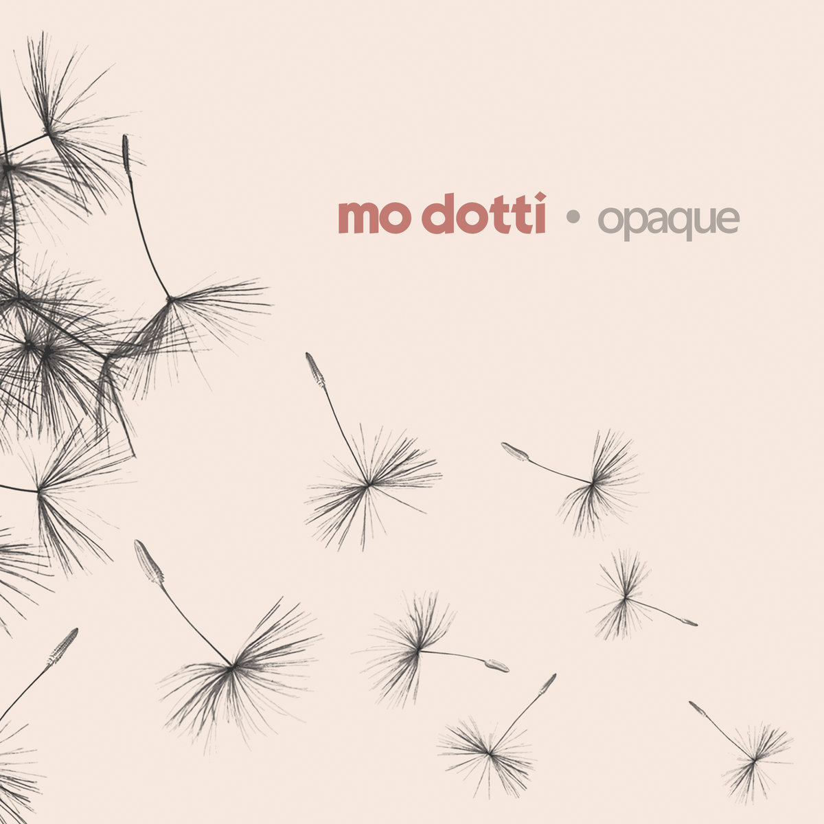 Mo Dotti Albums: songs, discography, biography, and listening guide ...
