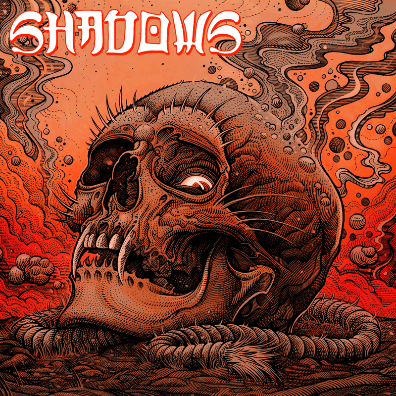 Shadows Albums: songs, discography, biography, and listening guide ...