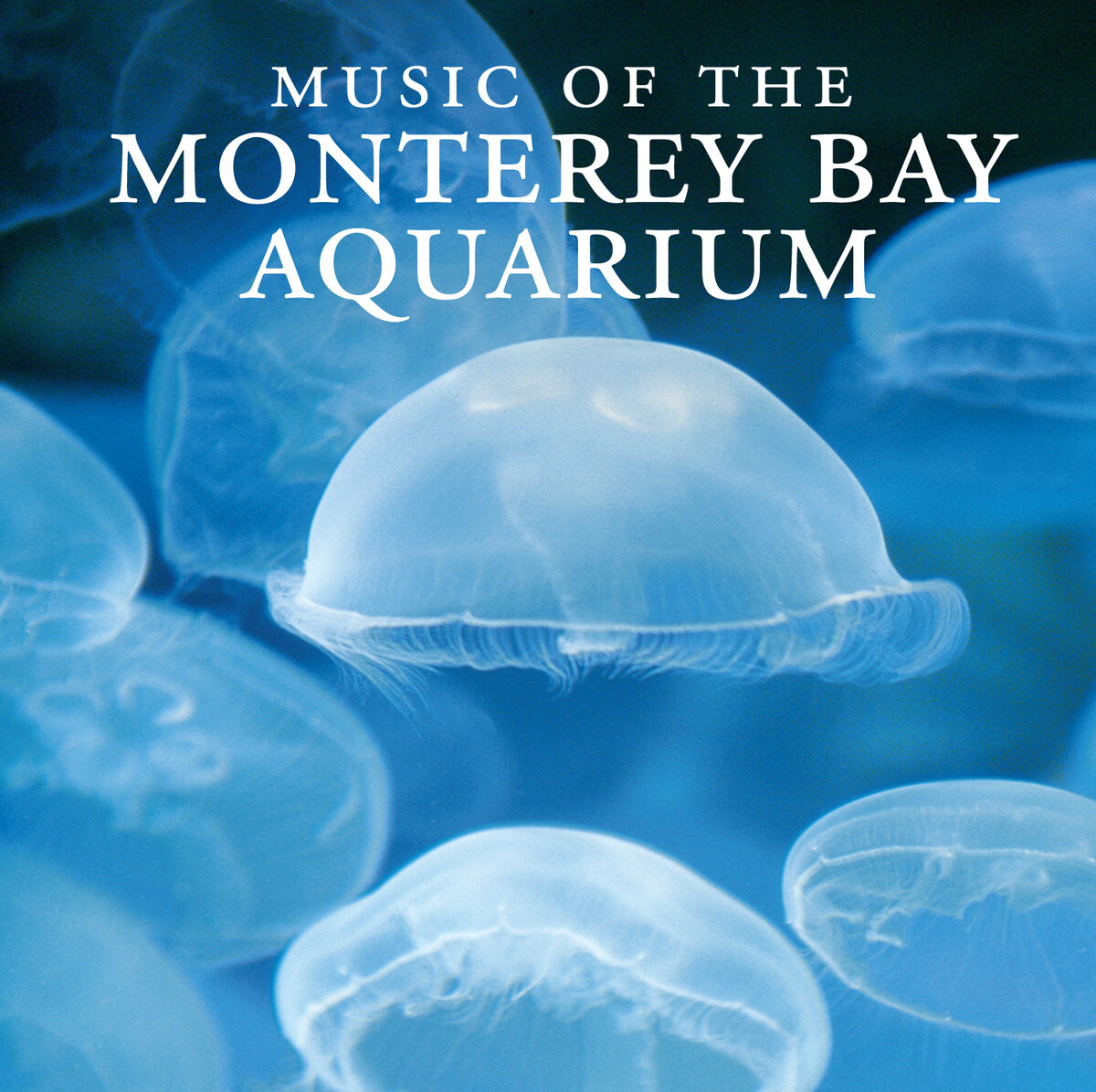 Music of the Monterey Bay Aquarium by Douglas Morton (Album, Ambient ...