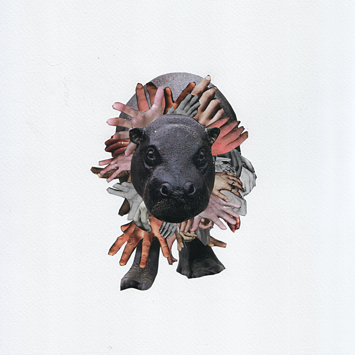 Please Let Me Sleep on Your Tonight by Sweet Williams (Album, Post ...