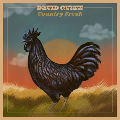 David Quinn Albums: songs, discography, biography, and listening guide ...