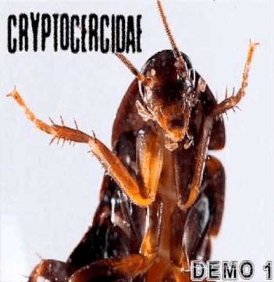 Cryptocercidae Albums: songs, discography, biography, and listening ...