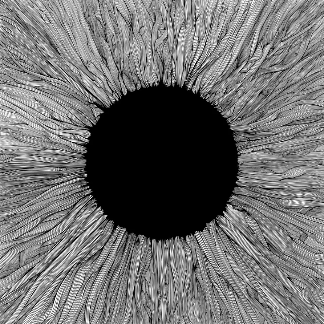 VOLA Albums: songs, discography, biography, and listening guide - Rate ...