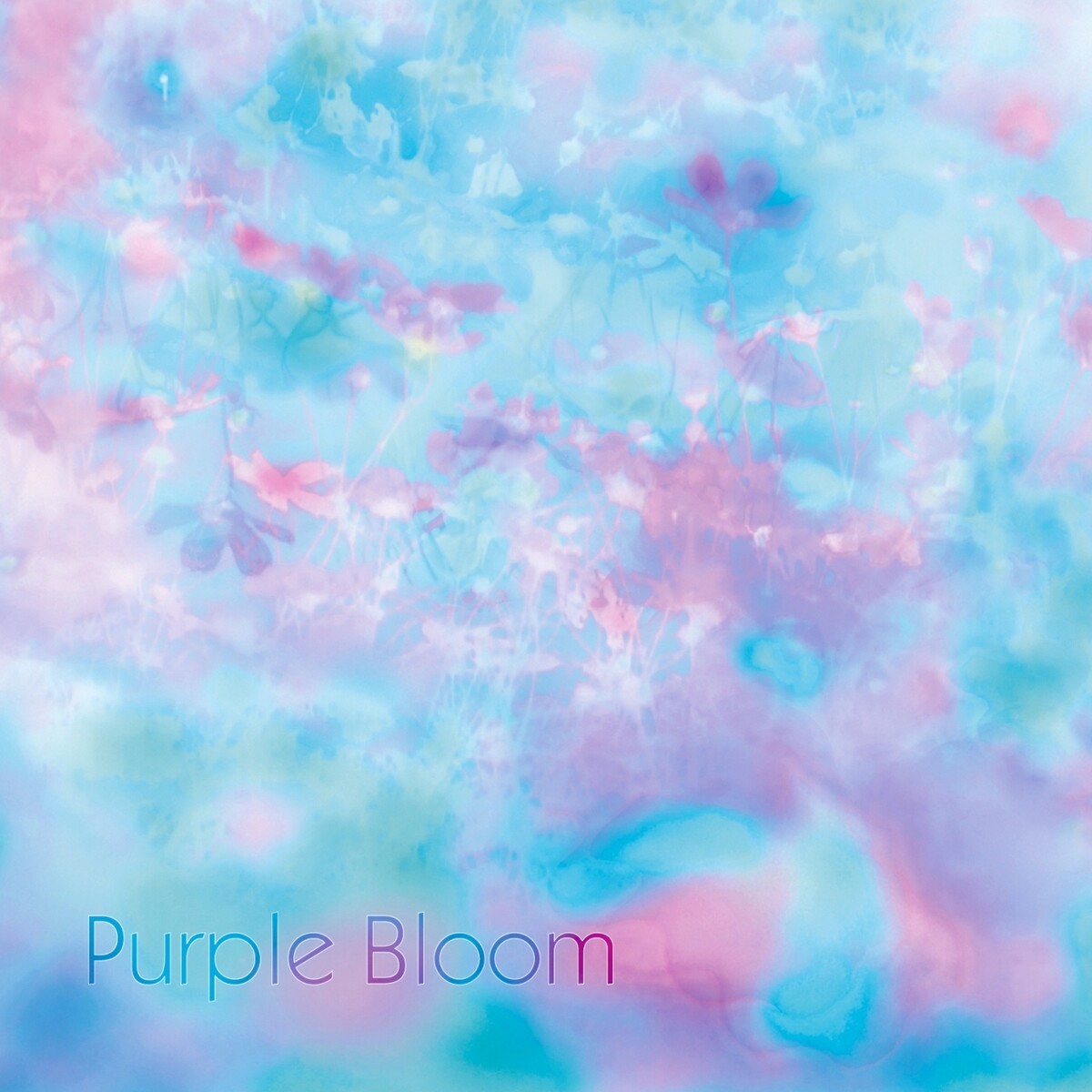 Purple Bloom Albums: songs, discography, biography, and listening guide ...