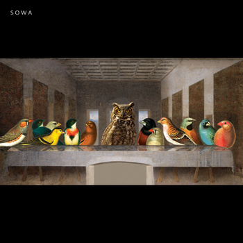 Sowa Albums: songs, discography, biography, and listening guide - Rate ...