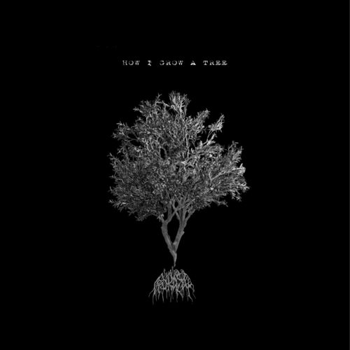 How I Grow a Tree by Mora Prokaza (Single): Reviews, Ratings, Credits ...