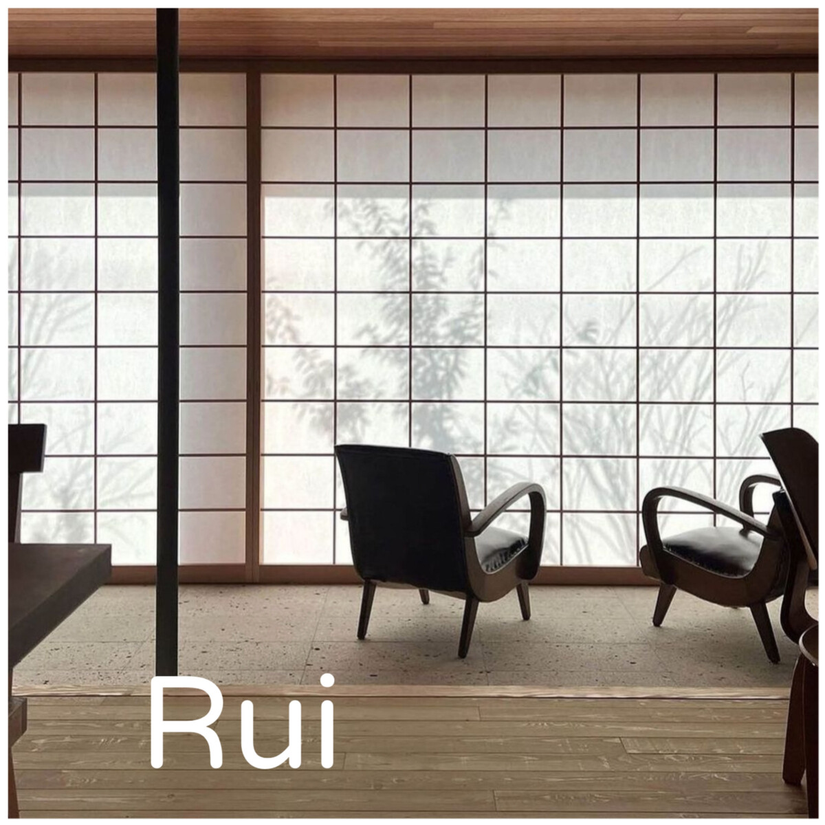 Rui by Michiru Aoyama (Album): Reviews, Ratings, Credits, Song list ...