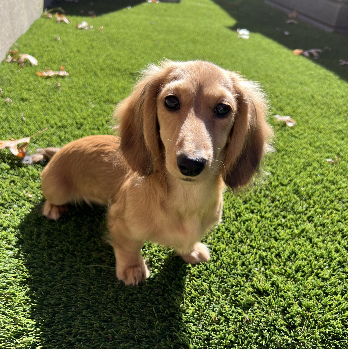 Stay by Lebxanon (Single, PluggnB): Reviews, Ratings, Credits, Song ...