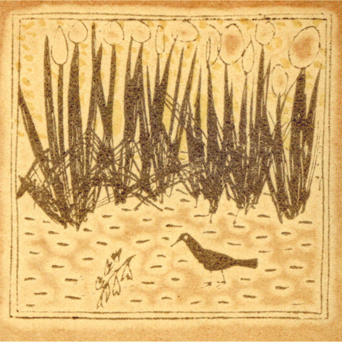 Grass Flowers by Nobuto Suda (Album, Ambient): Reviews, Ratings ...