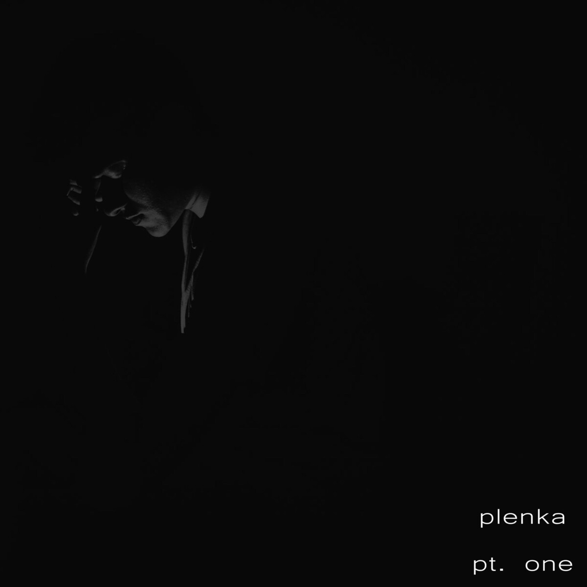 Best Plenka songs of all time - Rate Your Music