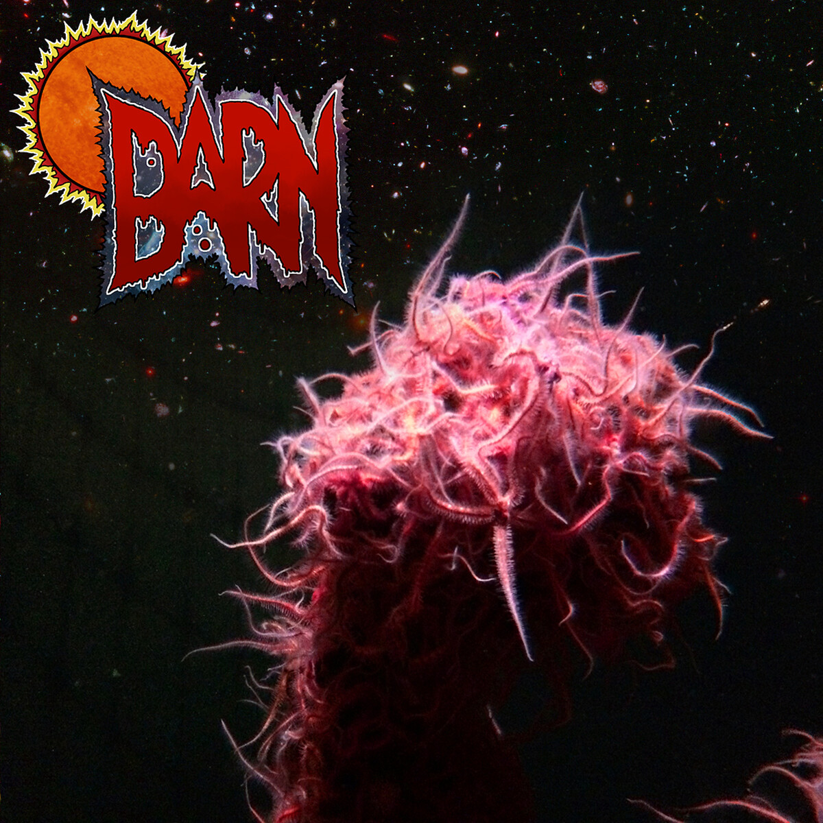 Barn by Barn (Album, Death Metal): Reviews, Ratings, Credits, Song list ...