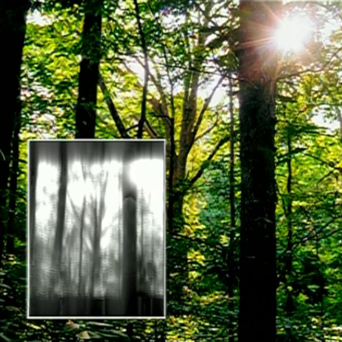 Best Post-Hardcore albums of 2023 - Rate Your Music