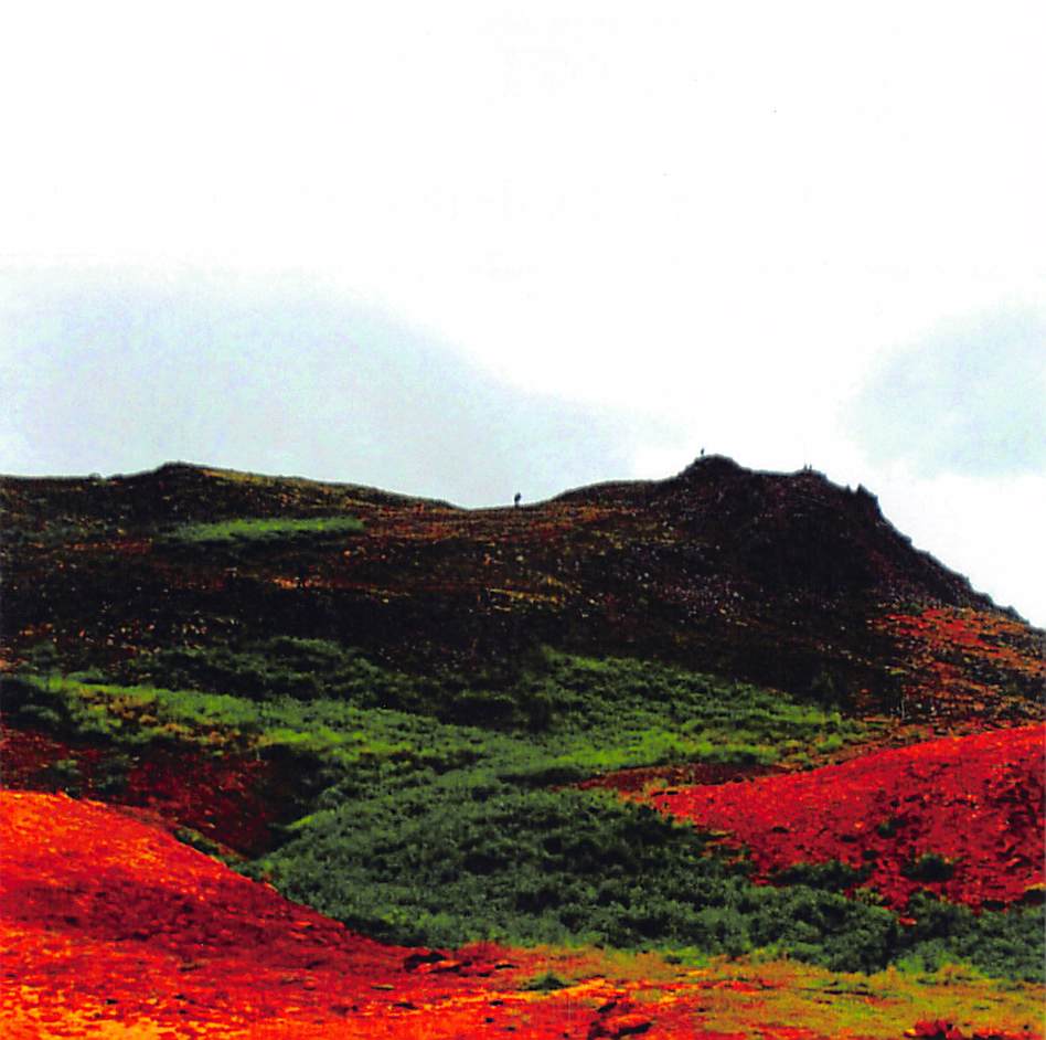 Vision of Jewels by Jandek (Album, Experimental Rock): Reviews, Ratings ...