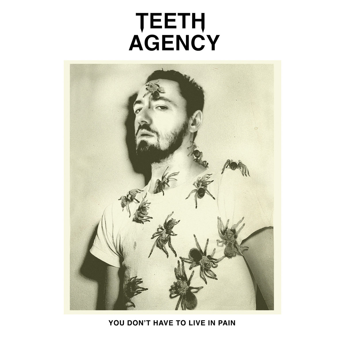 Teeth Agency Albums: songs, discography, biography, and listening guide ...