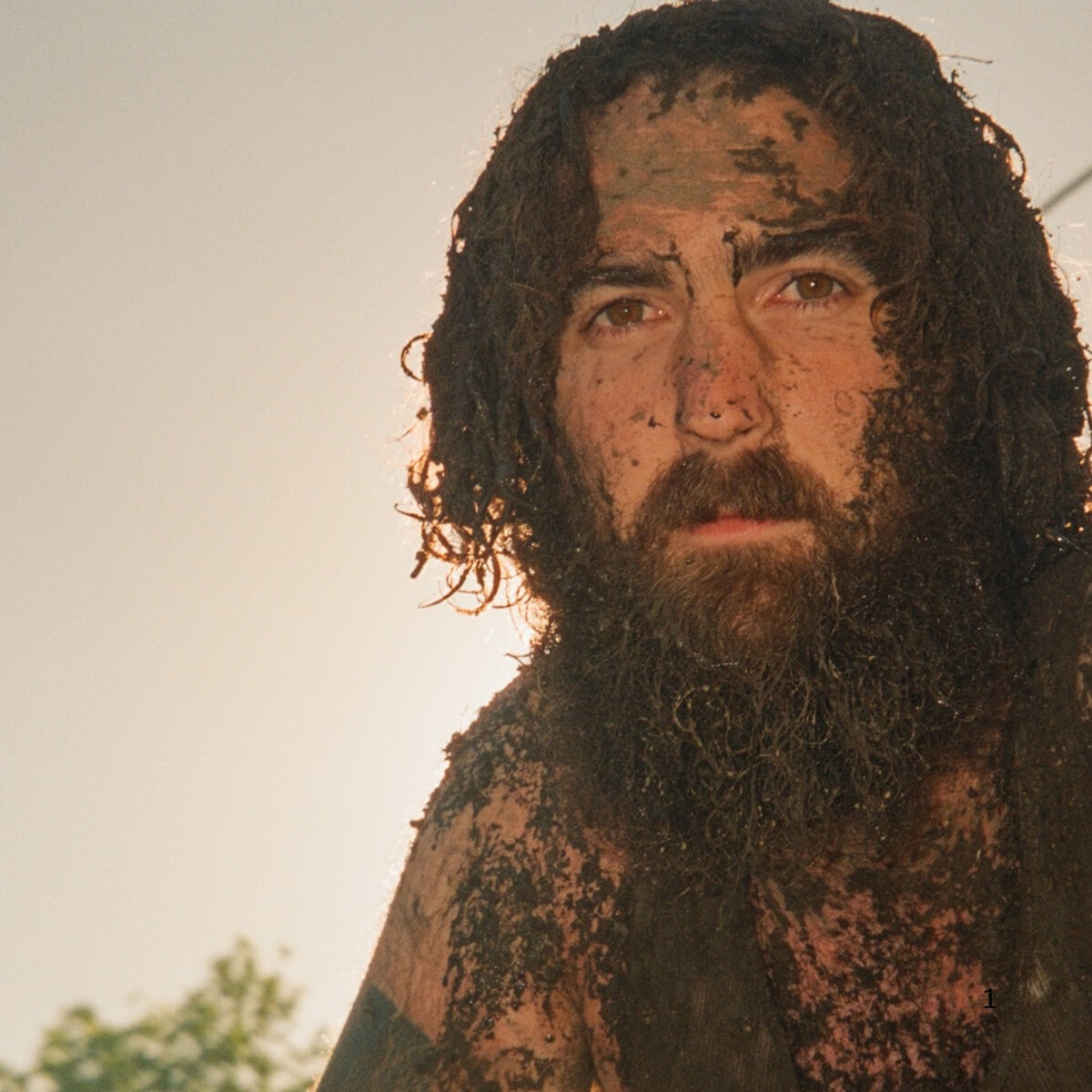 Dan Meyer Albums: songs, discography, biography, and listening guide ...