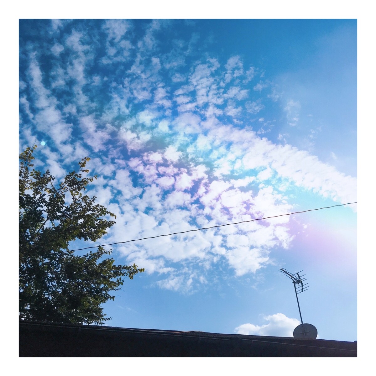 虹 by 可愛いって言わないと呪う! [Kawanoro] (Single, J-Pop): Reviews, Ratings ...