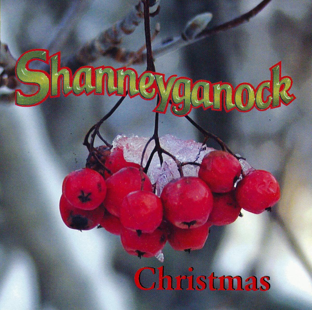 Christmas by Shanneyganock (Album): Reviews, Ratings, Credits, Song ...