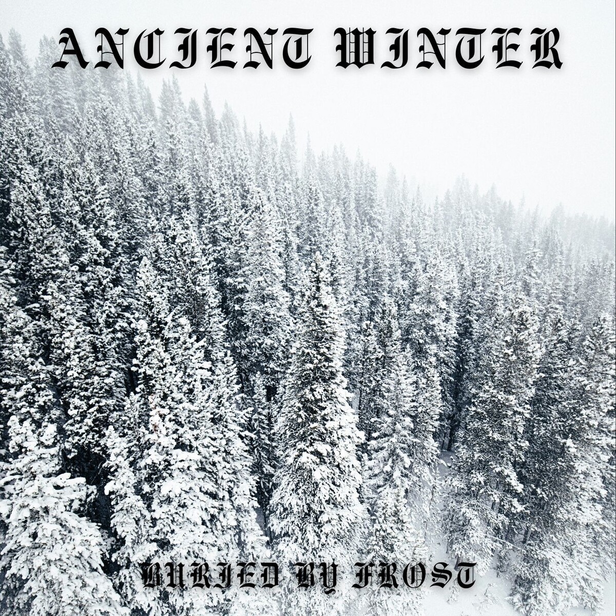 Ancient Winter Albums: songs, discography, biography, and listening ...