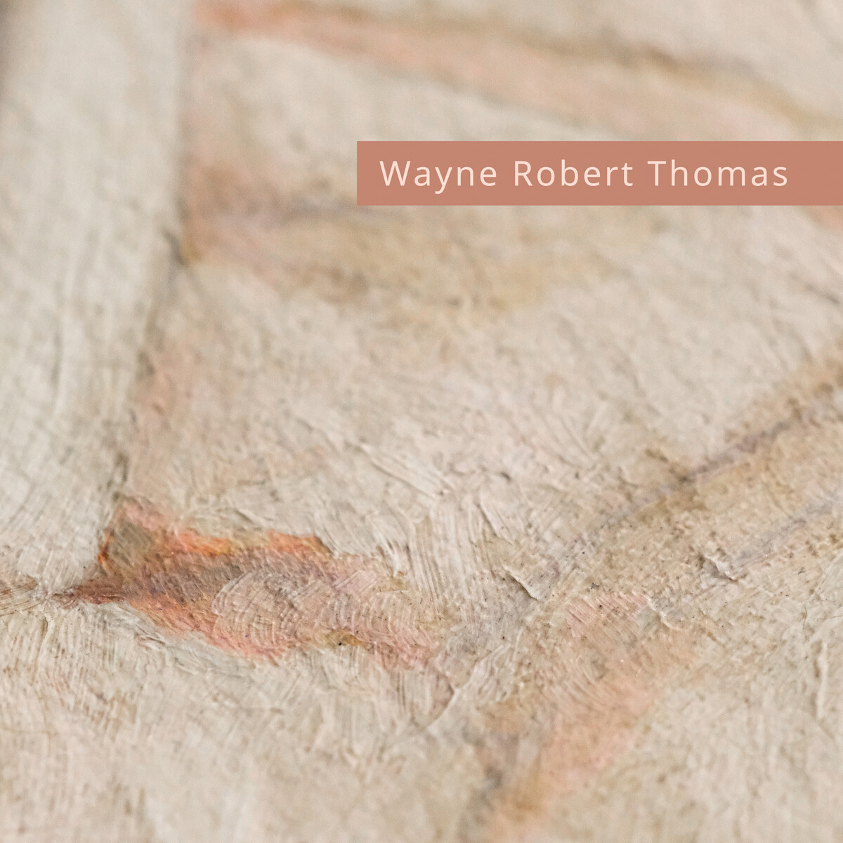 Poe by Wayne Robert Thomas (Album, Ambient): Reviews, Ratings, Credits ...