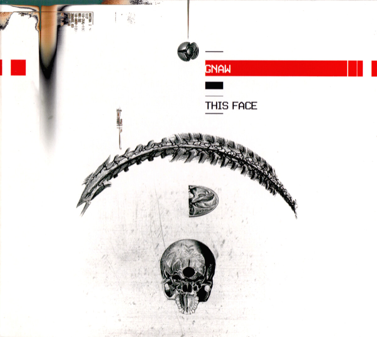 Gnaw Albums: songs, discography, biography, and listening guide - Rate ...