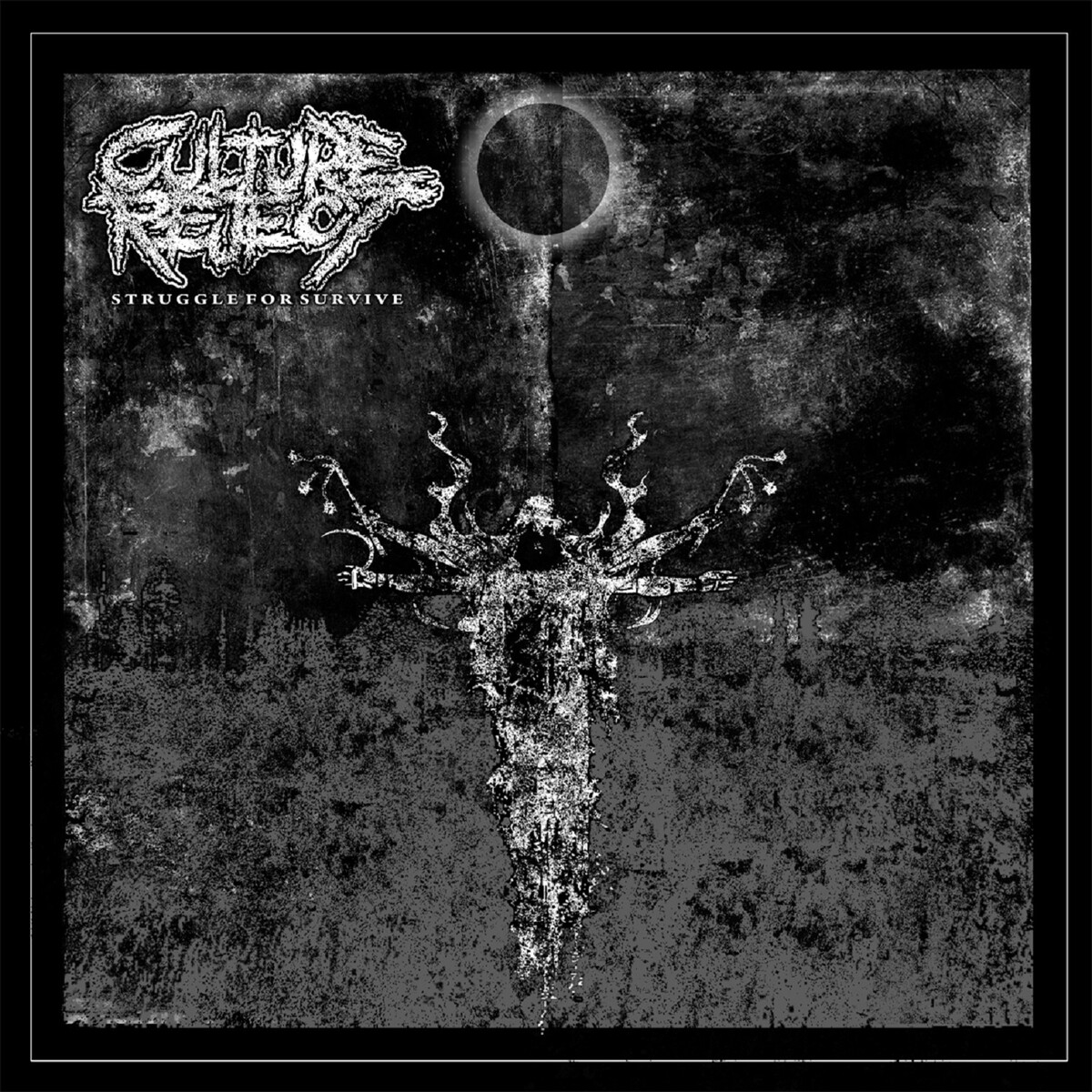 Culture Reject Albums: songs, discography, biography, and listening ...