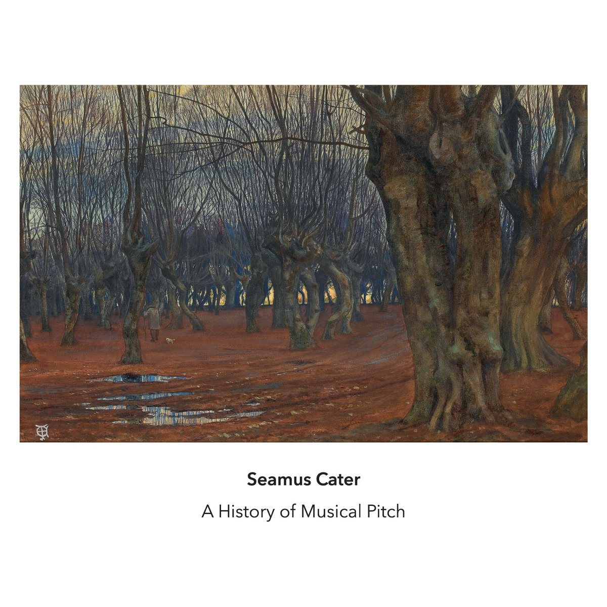 A History of Musical Pitch by Koen Nutters / Seamus Cater / Peter ...