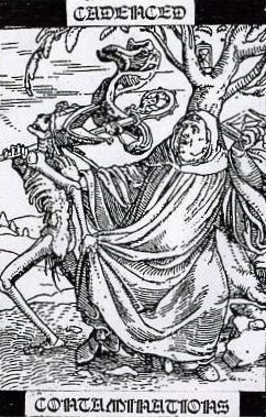 Cadenced contaminations by Various Artists (Compilation): Reviews ...