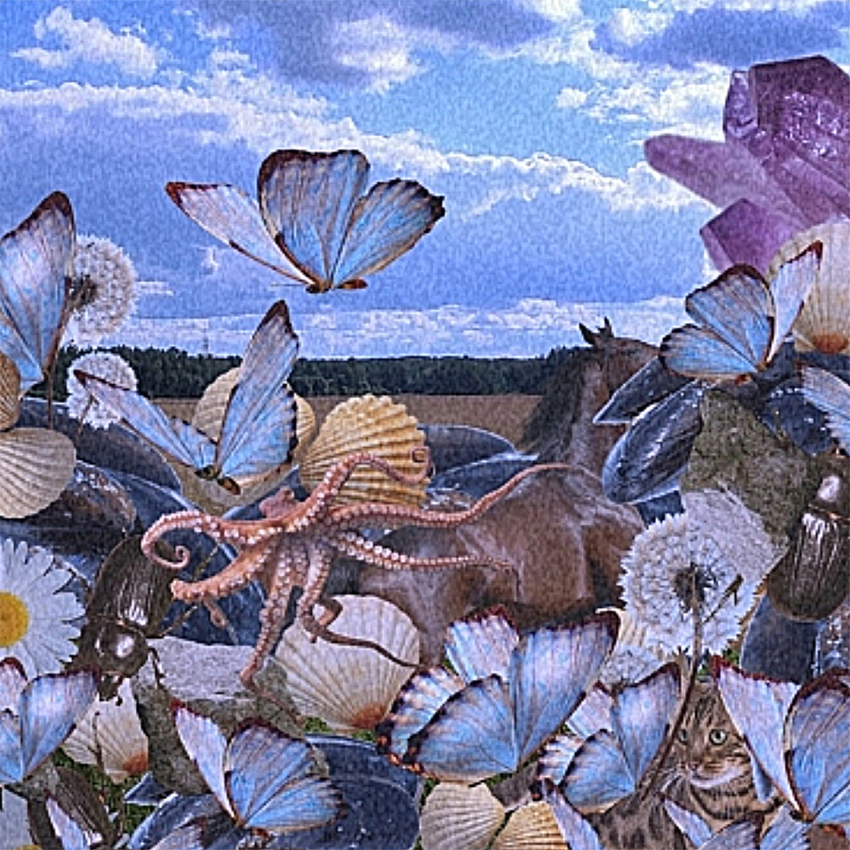 The Day Before Placebo by Starlight (Album): Reviews, Ratings, Credits ...