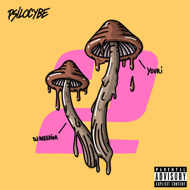 Psilocybe II by Youri & DJ Weedim (Single): Reviews, Ratings, Credits ...