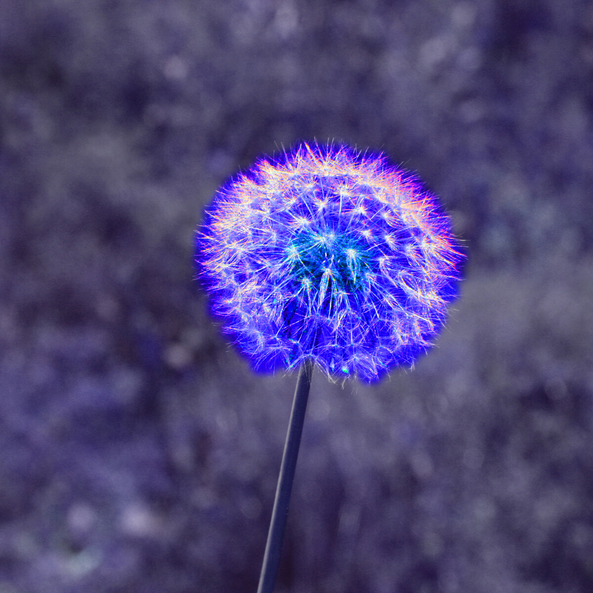 Get Out There by Hoverman (Single): Reviews, Ratings, Credits, Song ...