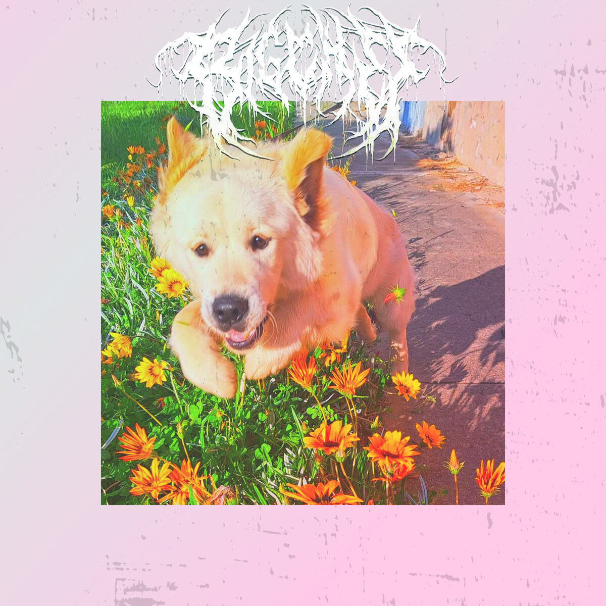 Big Chef Albums: songs, discography, biography, and listening guide ...